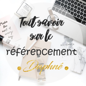 Tout savoir sur le référencement – Niwaju