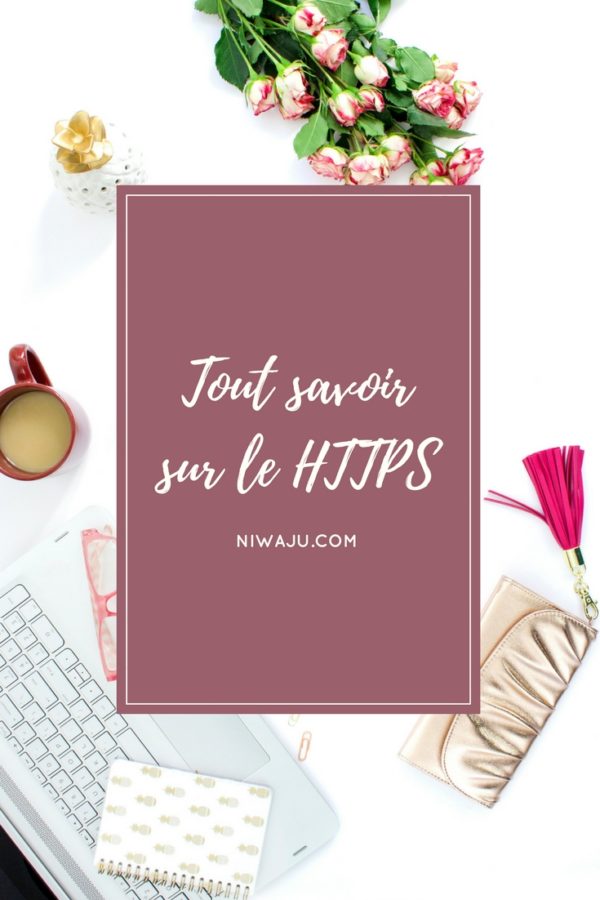 Tout savoir sur le https ! – Niwaju